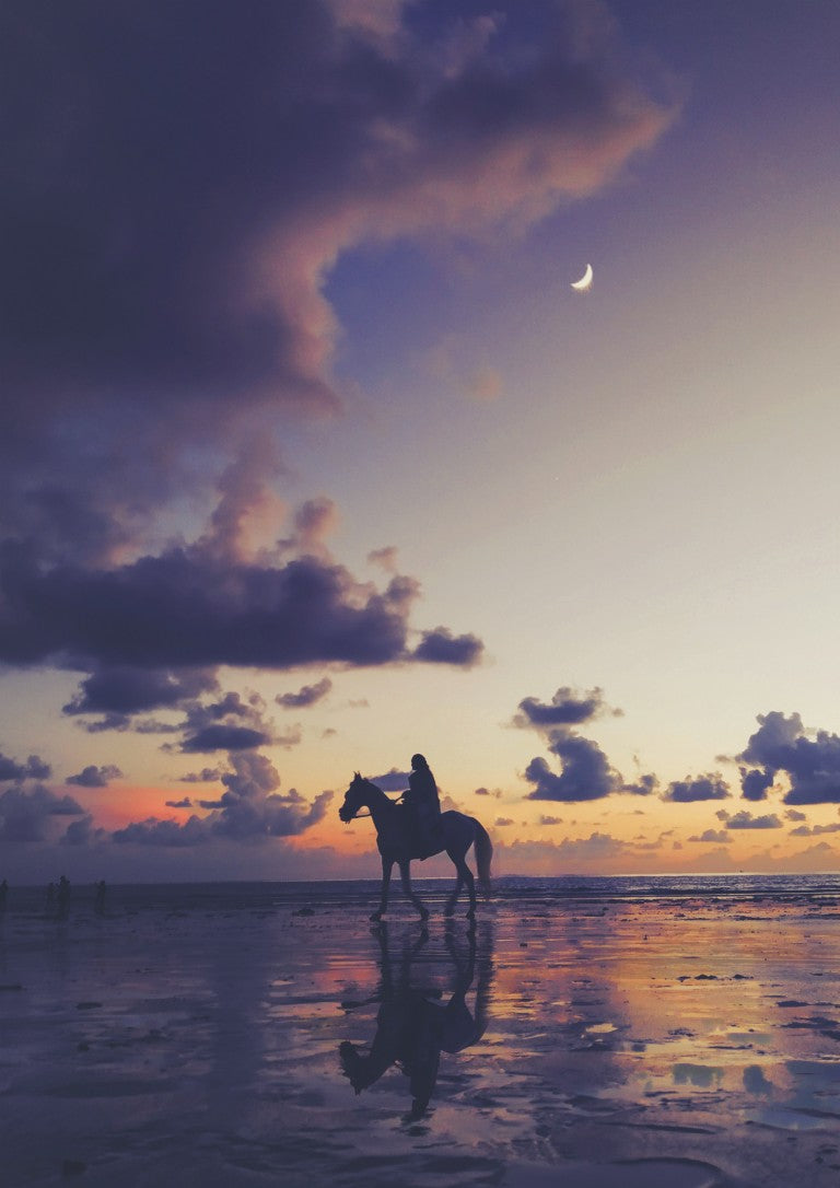 Chasing Twilight – froheyo