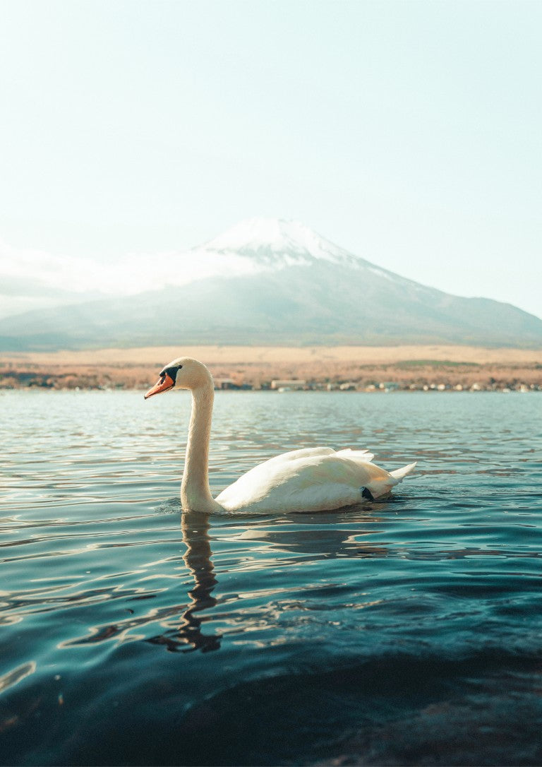 Silent Waters – froheyo