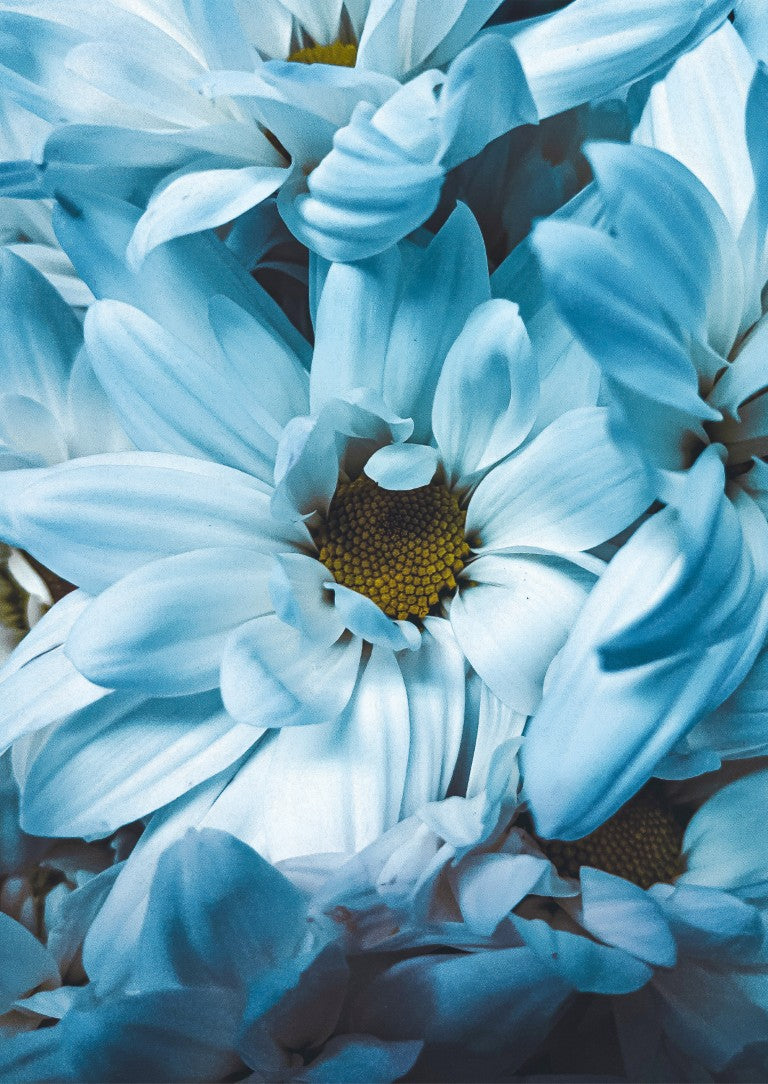 Soft Hues – froheyo