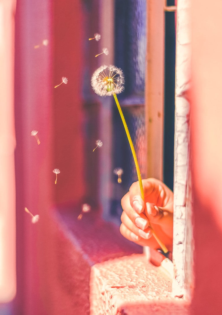 Soft Let Go – froheyo