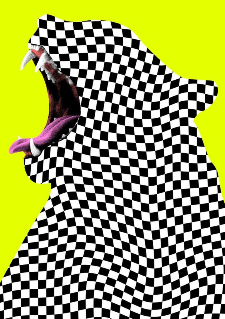 Wild Glitch – froheyo