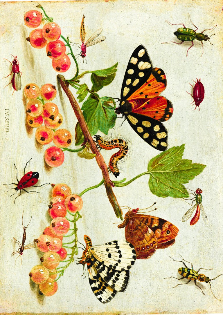 Curiosities of Nature – froheyo