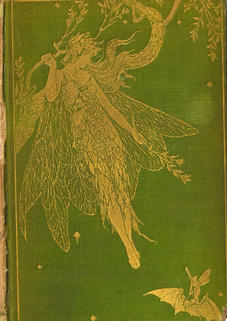 Sage Fairy – froheyo