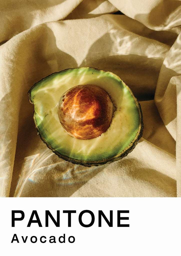 Avocado Pantone – froheyo