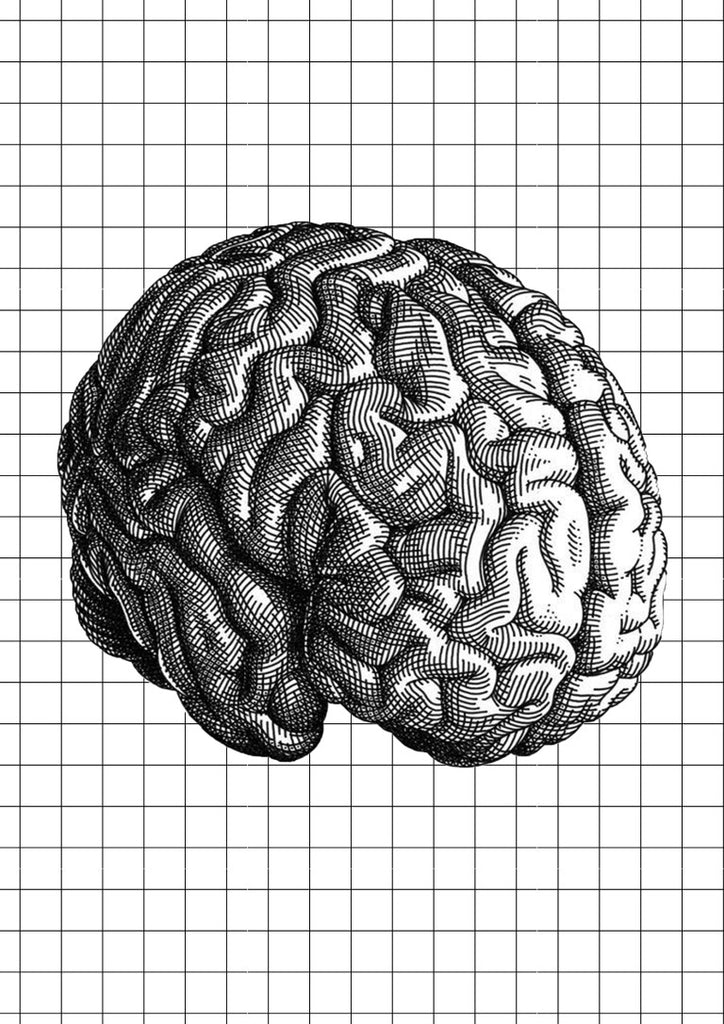 Brain Grid – froheyo