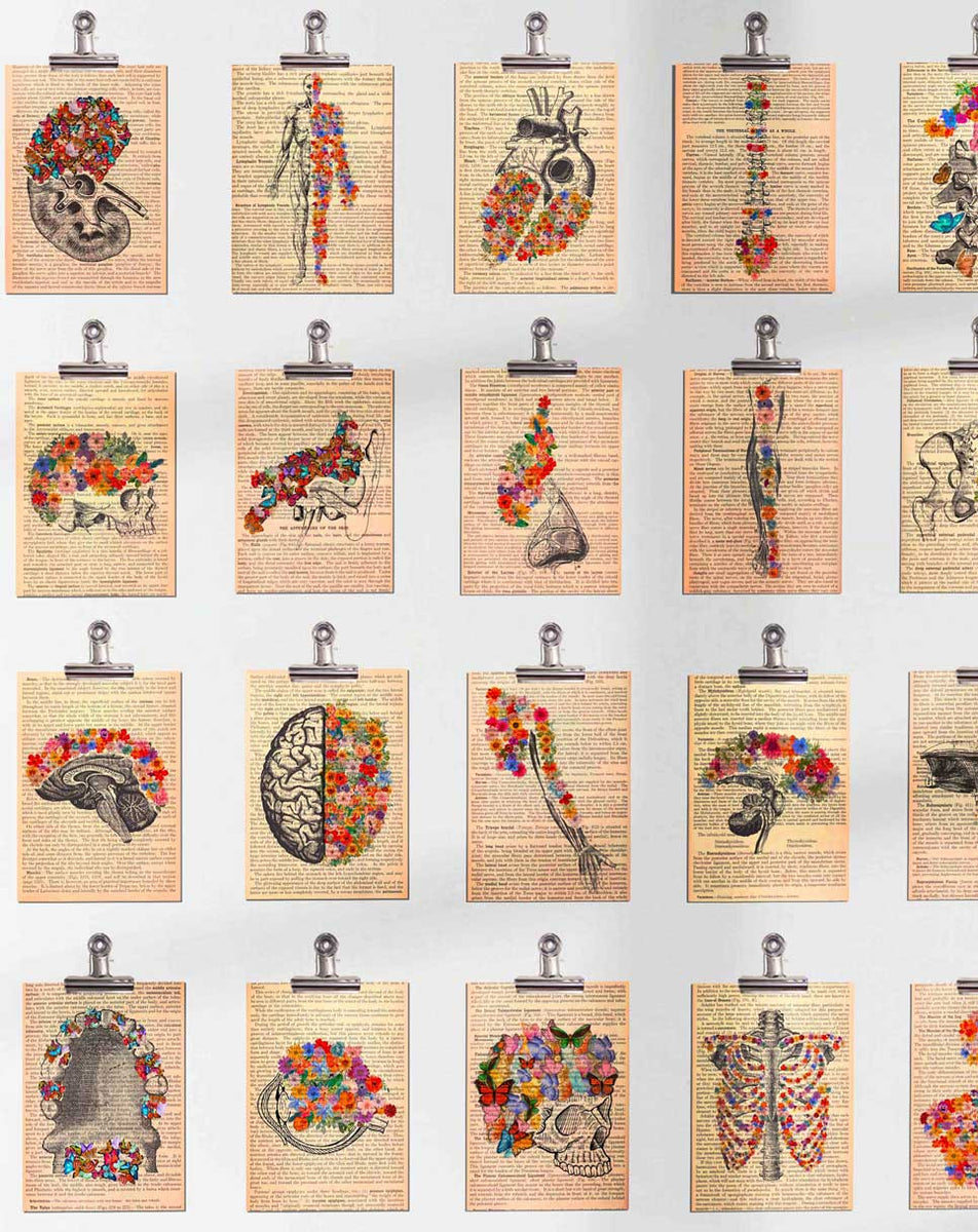 Pages of Life - Clip Kit Posters – froheyo