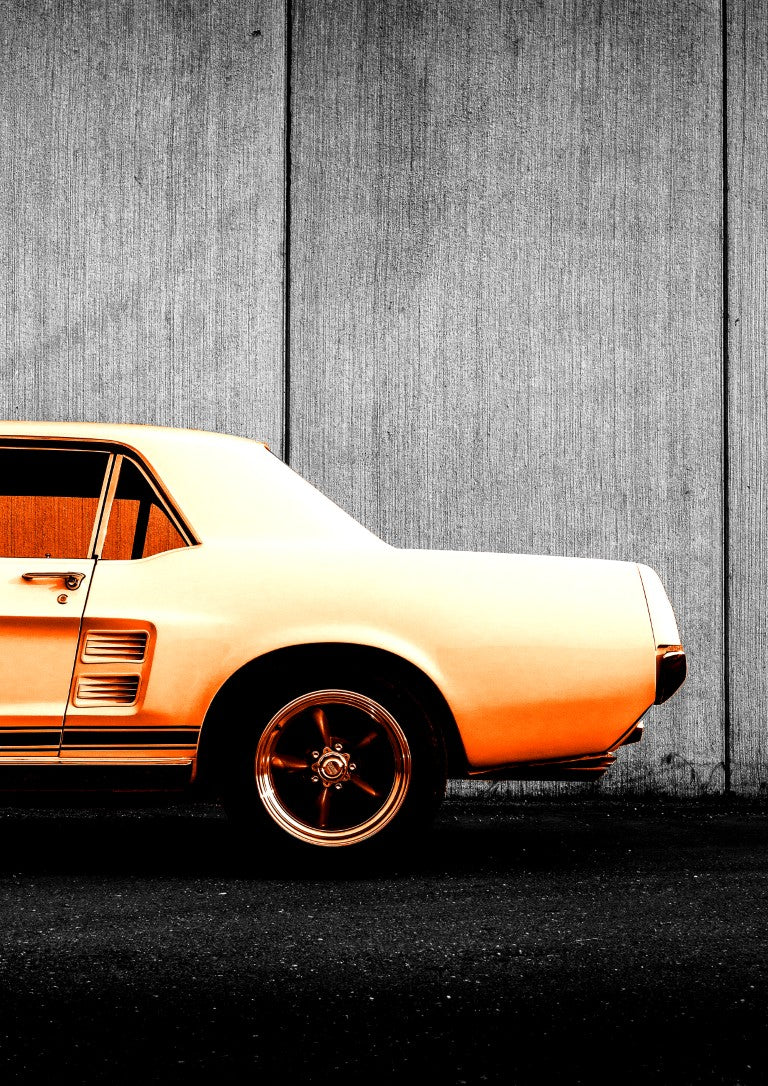 Timeless Ride – froheyo