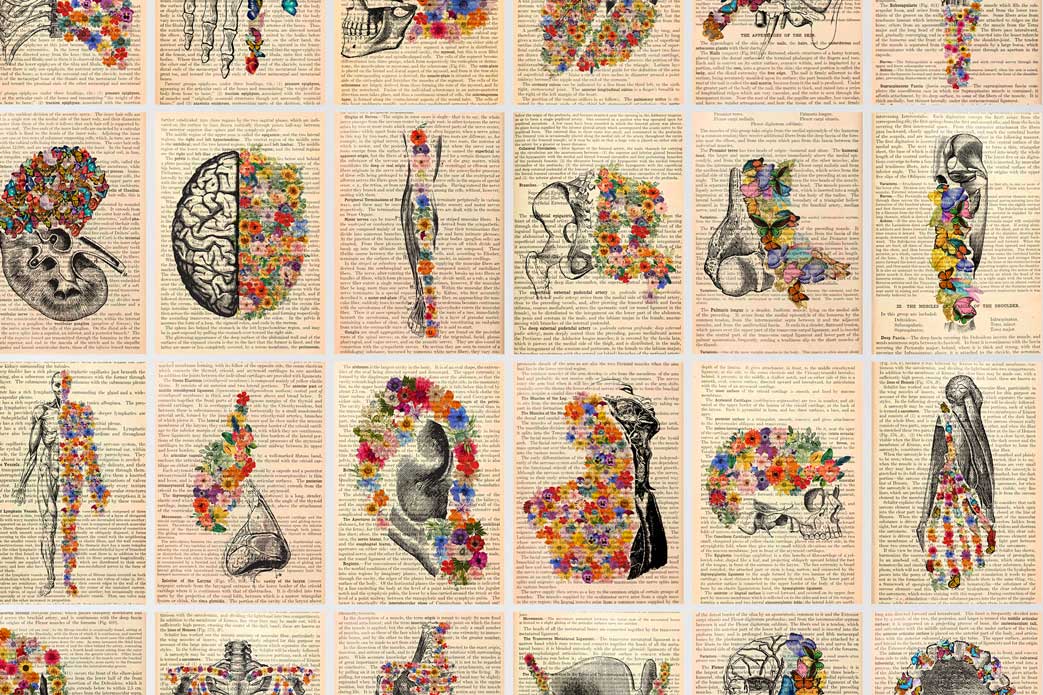 Collectibles – froheyo